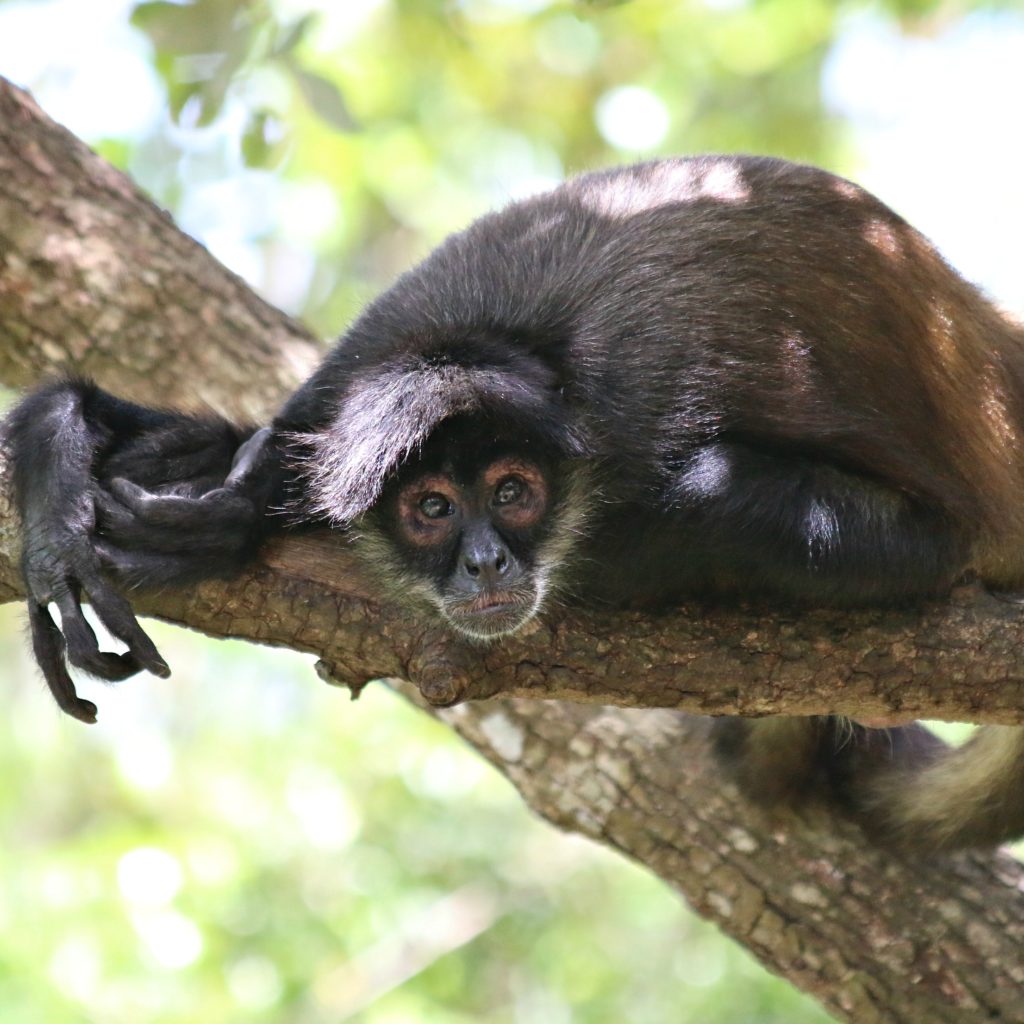 Oh, the Places We Travel! - Places to See, Food to Eat, Things to Do ...